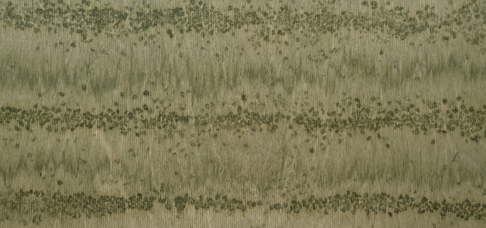 Snake 02_07 • llotllov