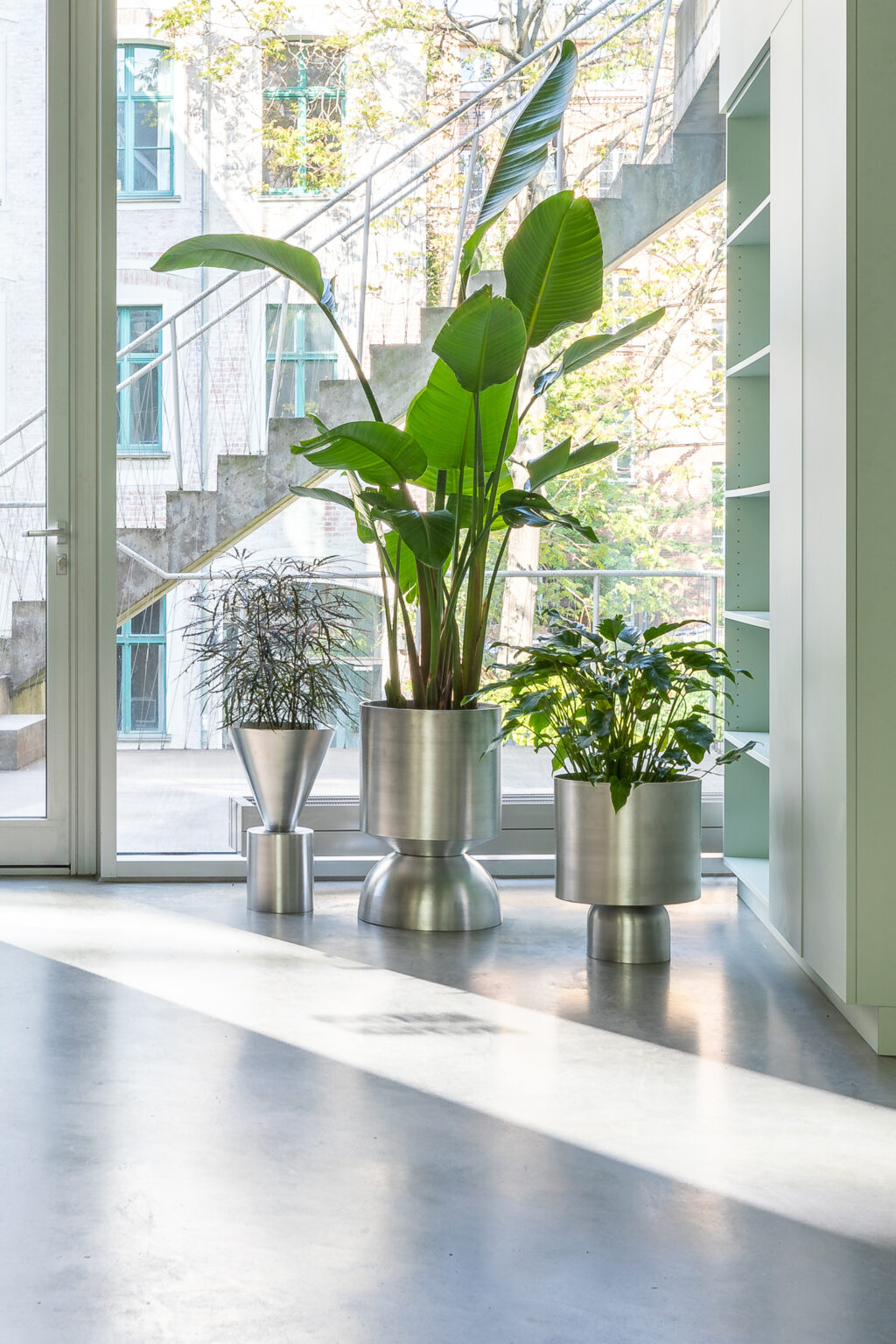 Ada Big • llotllov