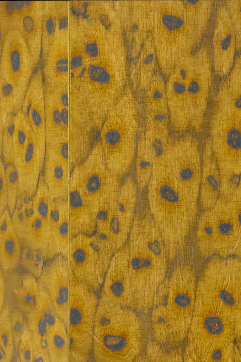 OSIS Septagon Base • llotllov